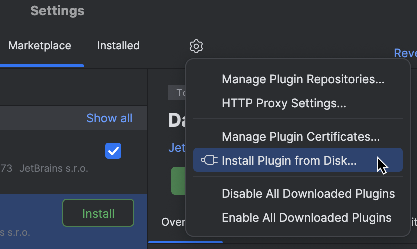 Junie IDE plugin | Junie Documentation